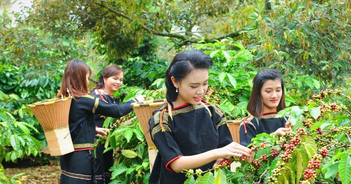 Ông Ksor Phước: Từ những 'làng 6 không', bà con nay đã biết làm kinh tế ...